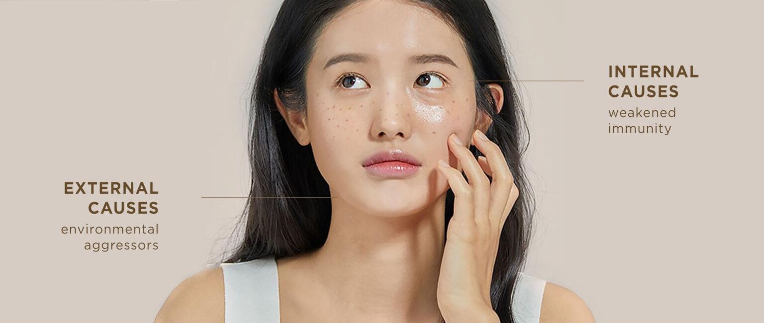 The History Of Whoo - Gong Jin Hyang Brightening Line - The Monodist By ...